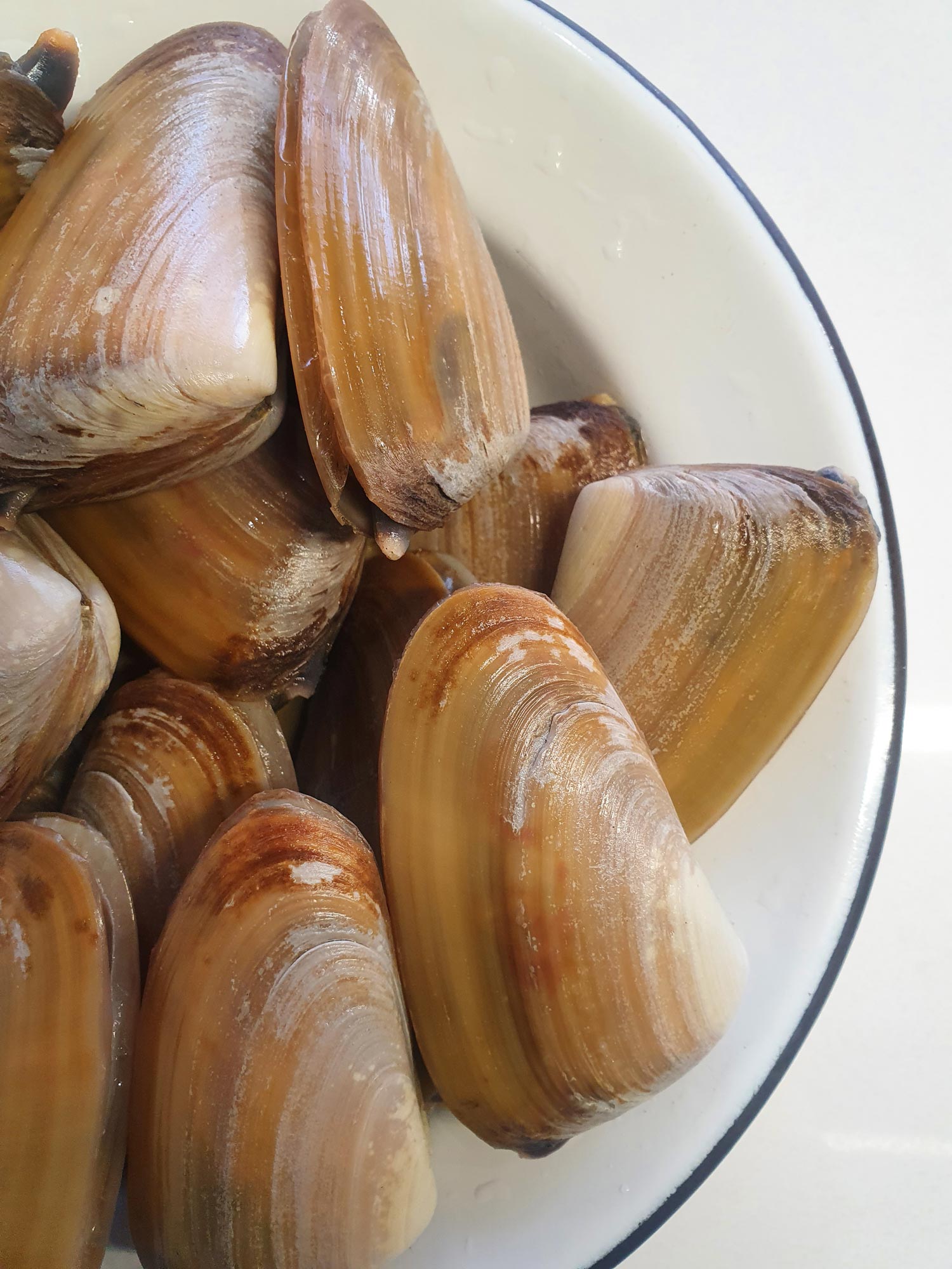 macha fresca domicilio santiago pescaderia