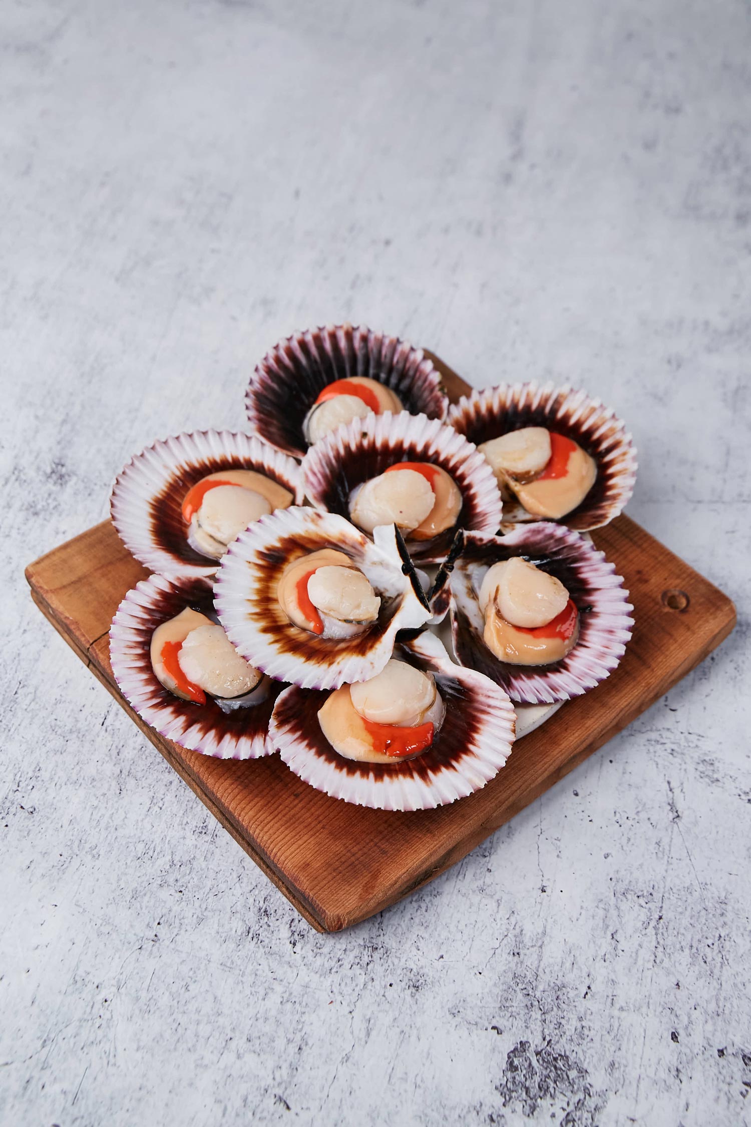 ostion fresco tongoy domicilio santiago pescaderia