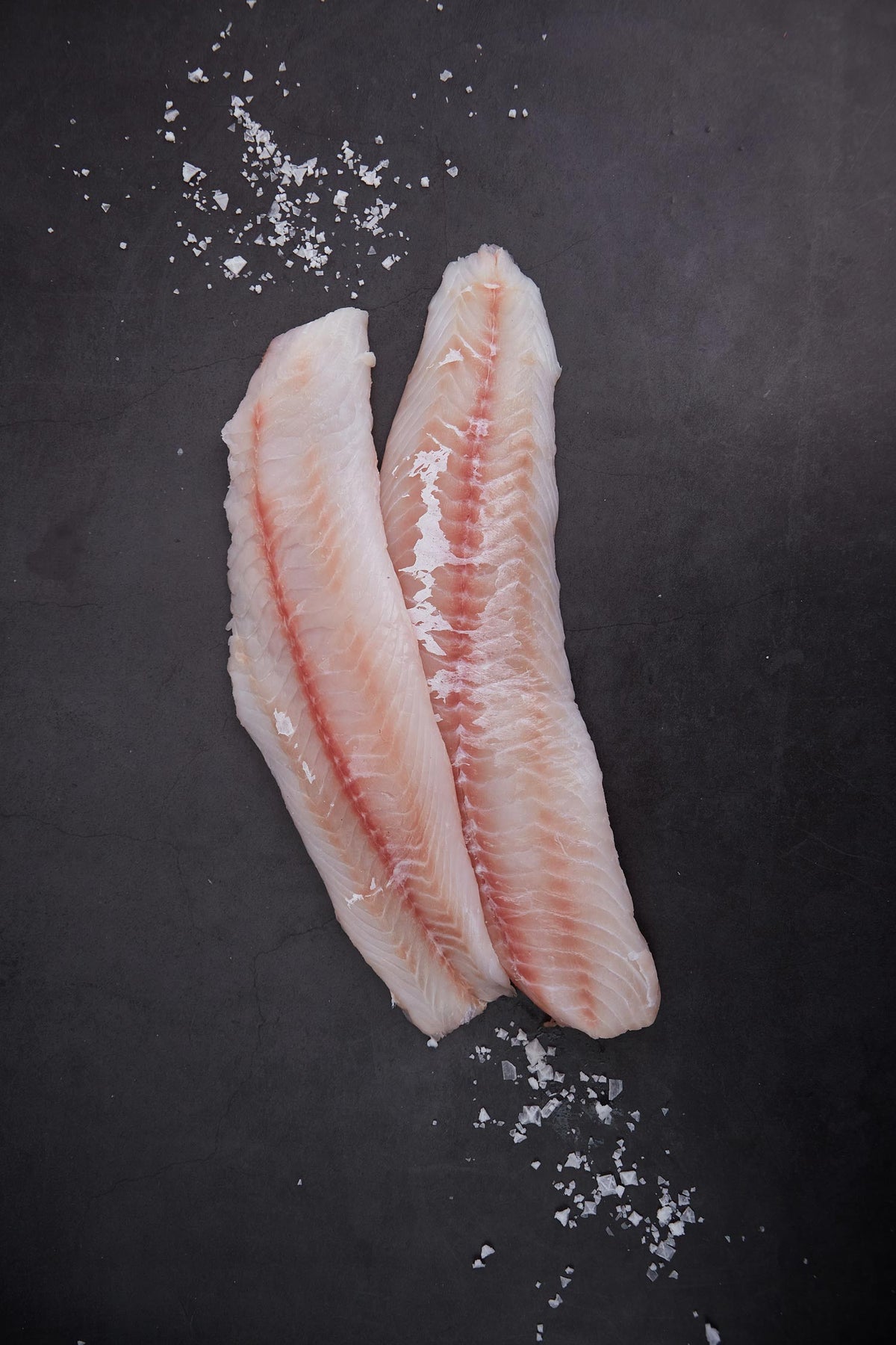 rollizo pez de roca domicilio pescado fresco santiago pescaderia